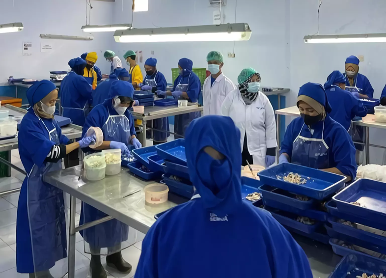 Aruna Technology Innovation in Improving Fishermen’s Welfare and ...