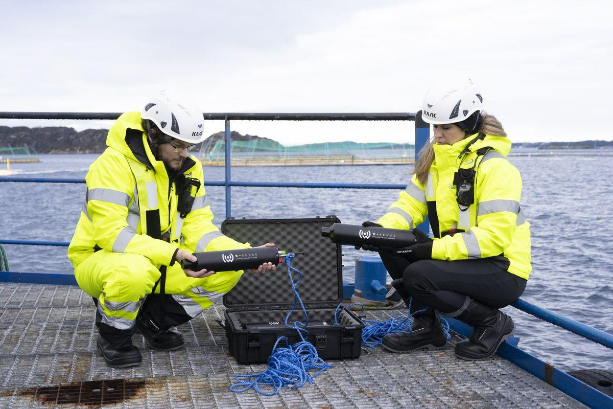 WSense: Spearheading the ‘Underwater Internet’ for Maritime Innovation ...