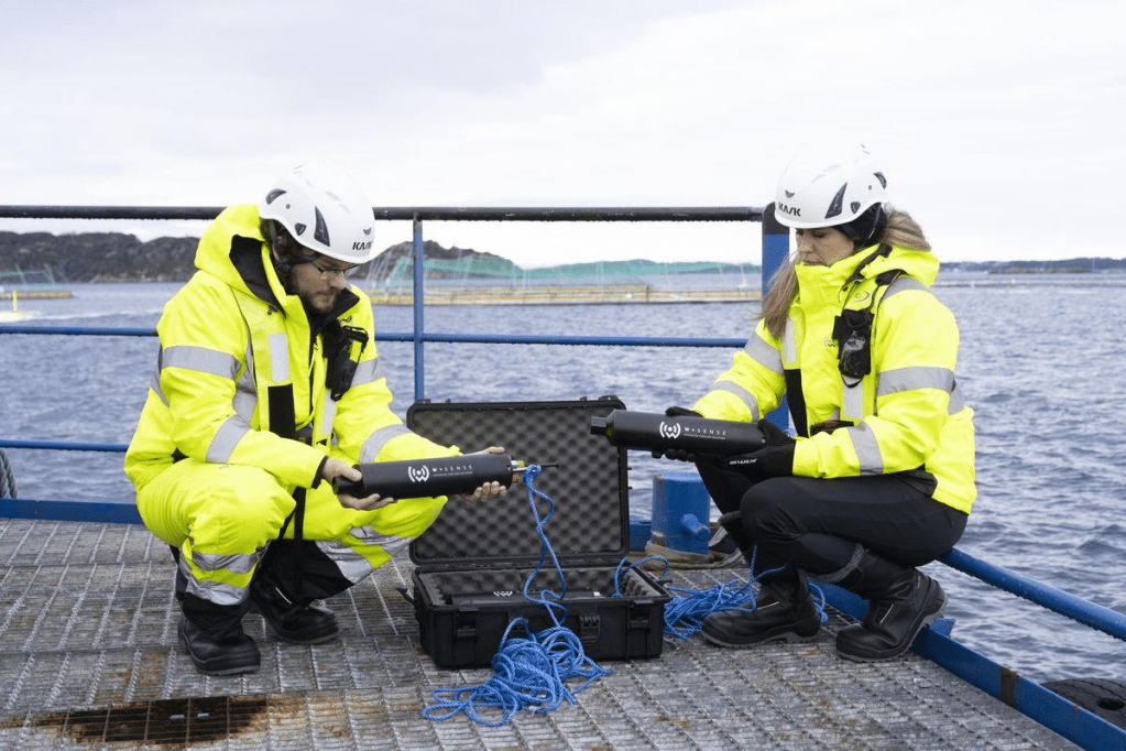 MagicPort: The AI-Powered Platform Transforming Ship Operation – Scorpa ...